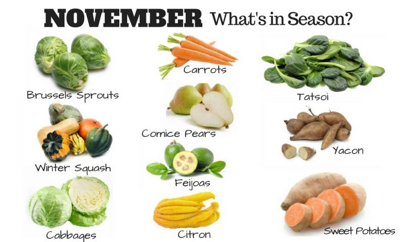 Healthy Seasonal Foods | Benefits | Fall \ Winter | Florida USA
